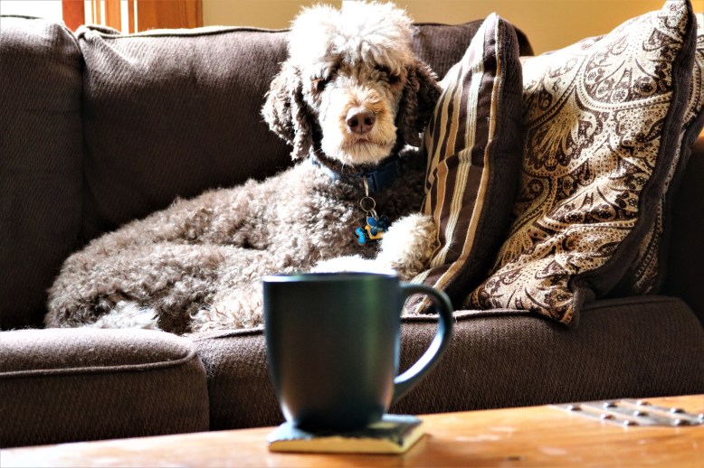 About Me – Ellen Brock